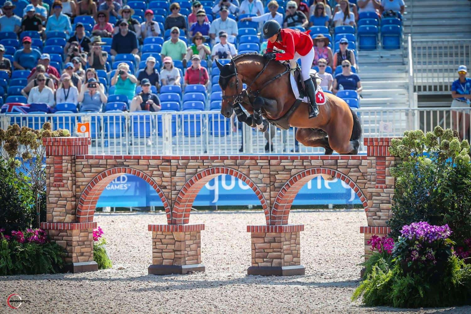 Elite Stallions - Stallions Discipline